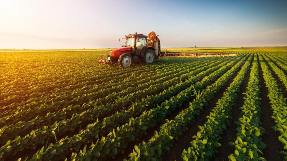 Agroquímicos | Cefer | Grupo Agrosa